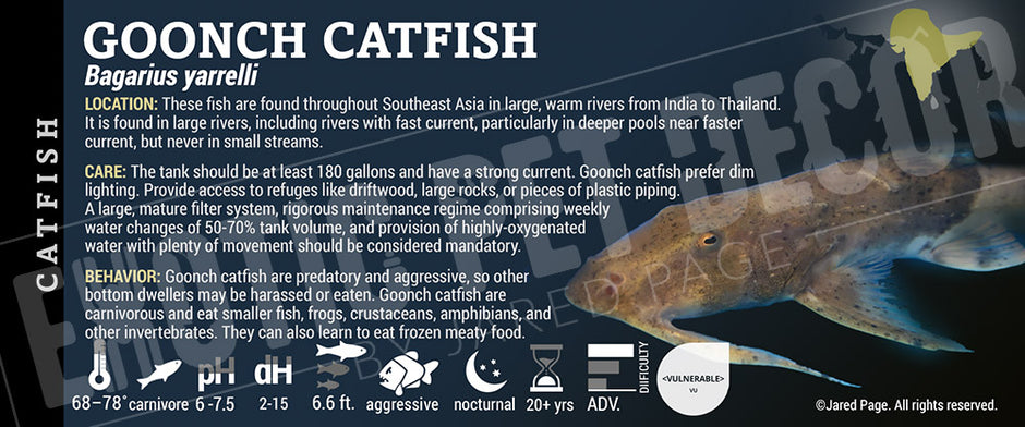 Freshwater Animal Collector Cards and Tank Labels – Exotic Pet Decor
