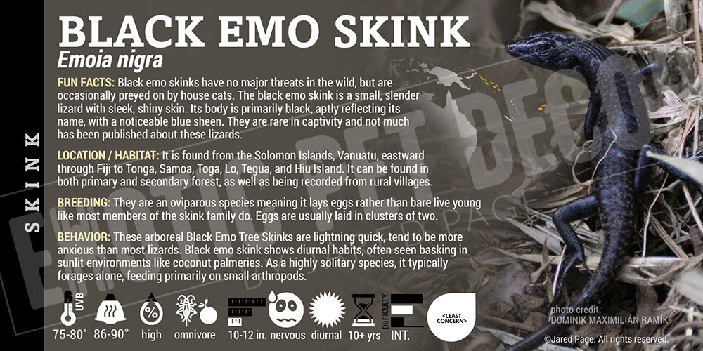 Emoia nigra 'Black Emo' Skink Cards and Enclosure Labels – Exotic Pet Decor
