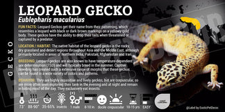 Eublepharis macularius 'Leopard' Gecko Cards and Enclosure Labels ...
