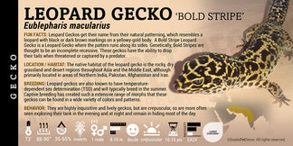 Eublepharis macularius 'Leopard' Gecko Cards and Enclosure Labels ...