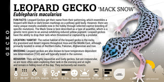 Eublepharis macularius 'Leopard' Gecko Cards and Enclosure Labels ...