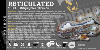Malayopython reticulates 'Reticulated' Python Cards and Enclosure ...