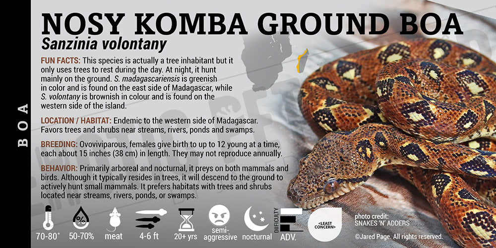 Sanzinia volontany 'Nosy Komba Ground Boa' Cards & Enclosure Labels ...