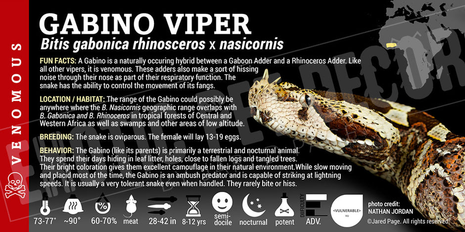 Venomous Snake Collector Cards and Enclosure Labels – Exotic Pet Decor