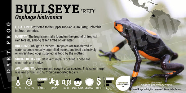 Oophaga histrionica 'Bullseye' Cards and Enclosure Labels – Exotic Pet ...