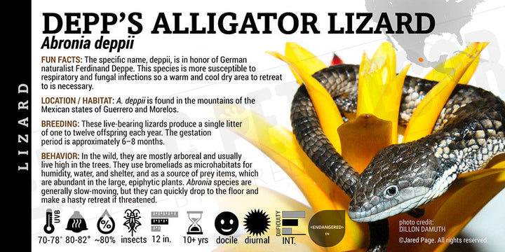 Reptile Collector Cards and Enclosure Labels – Exotic Pet Decor