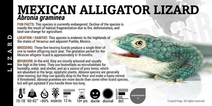 Reptile Collector Cards and Enclosure Labels – Exotic Pet Decor