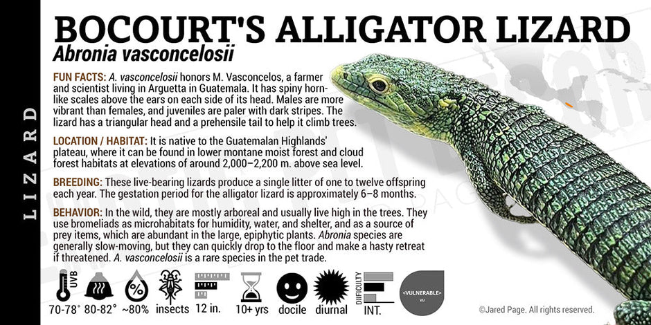 Reptile Collector Cards and Enclosure Labels – Exotic Pet Decor