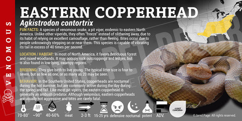 Agkistrodon contortrix 'Eastern' Copperhead Cards and Enclosure Labels ...