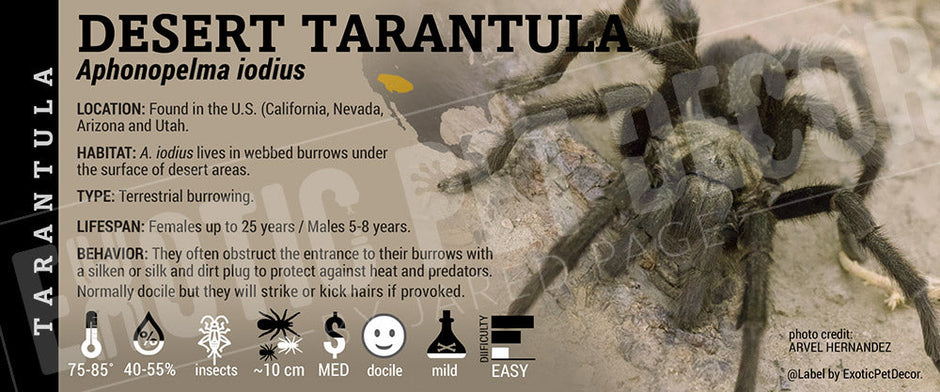 Tarantula Collector Cards and Enclosure Labels – Exotic Pet Decor