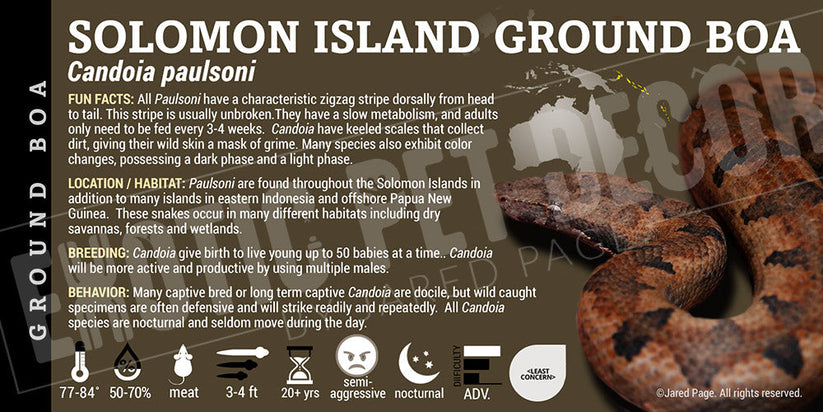 Candoia paulsoni 'Solomon Island Ground' Boa Cards and Enclosure Labels ...