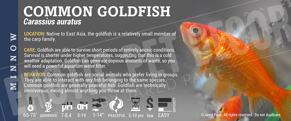 Freshwater Animal Collector Cards and Tank Labels – Exotic Pet Decor