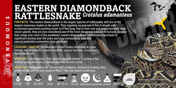 Venomous Snake Collector Cards and Enclosure Labels – Exotic Pet Decor