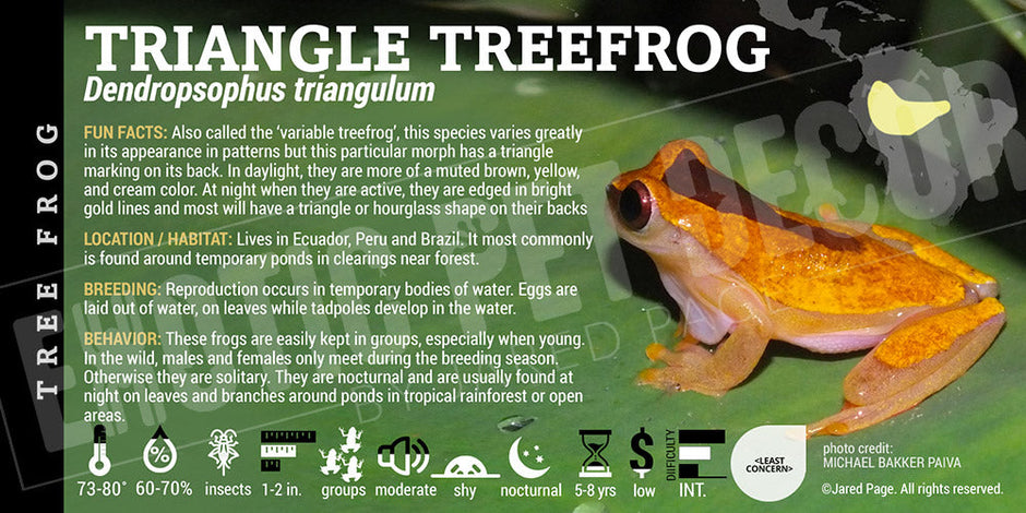 Tree Frog Collector Cards and Enclosure Labels – Exotic Pet Decor