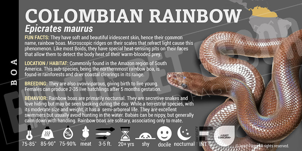Epicrates maurus 'Colombian Rainbow' Boa Cards and Enclosure Labels ...