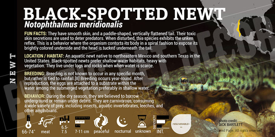 Newts & Salamander Collector Cards and Enclosure Labels – Exotic Pet Decor