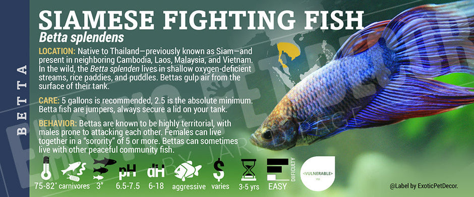 Freshwater Animal Collector Cards and Tank Labels – Exotic Pet Decor