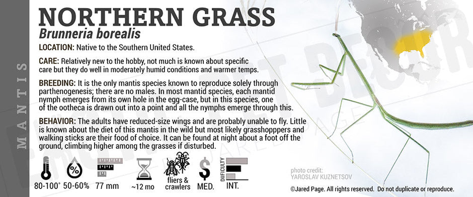 Mantises & Phasmid Collector Cards and Enclosure Labels – Exotic Pet Decor