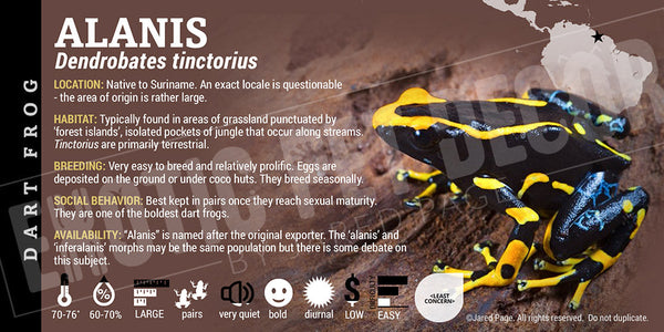 Dendrobates tinctorius 'Alanis' Cards and Enclosure Labels – Exotic Pet ...