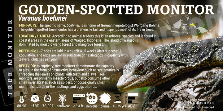 Monitor Lizard Cards and Enclosure Labels – Exotic Pet Decor